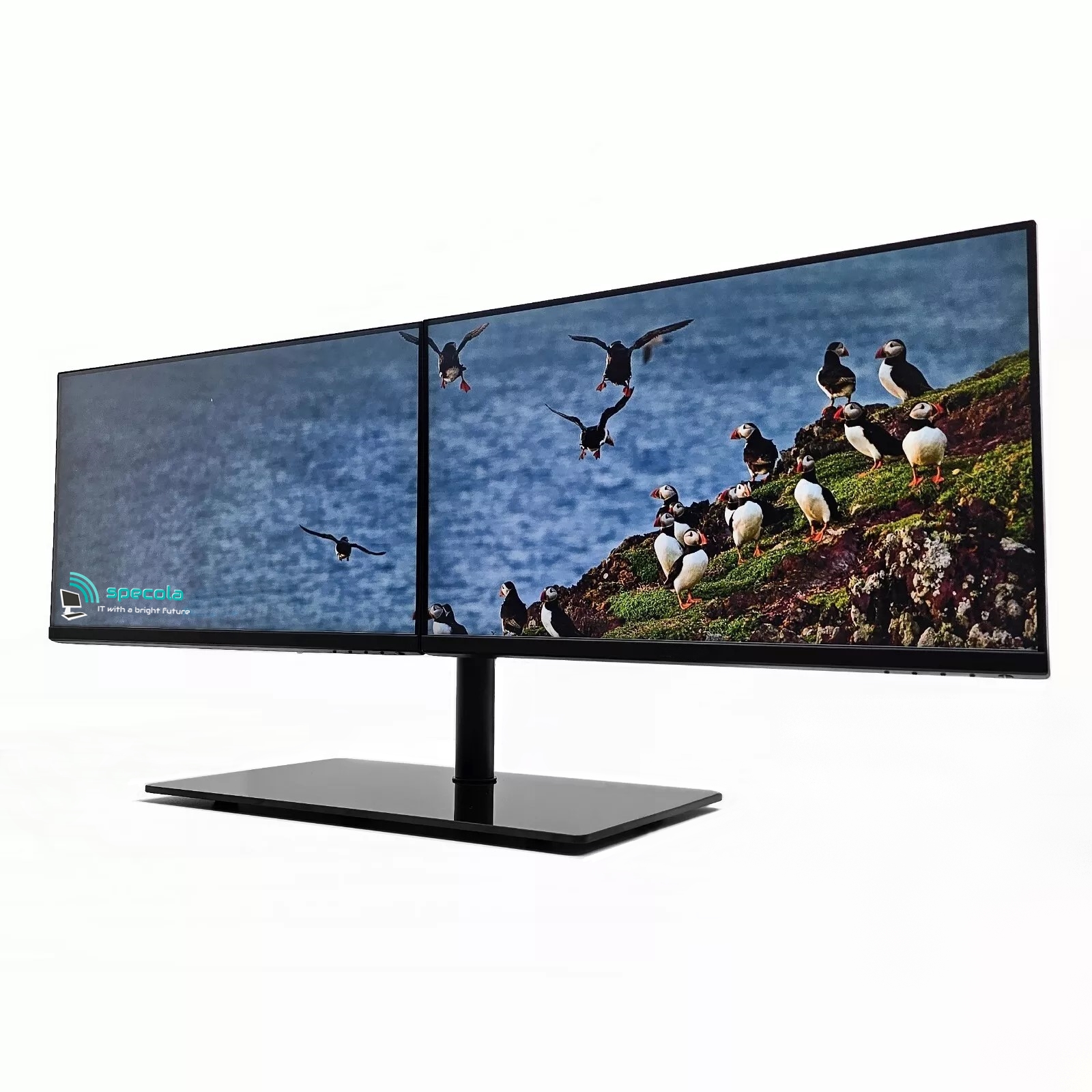 Dual 2×23″ HD PC Monitor Screens Frameless 1xHDMI/1xUSB-C Glass Base ...