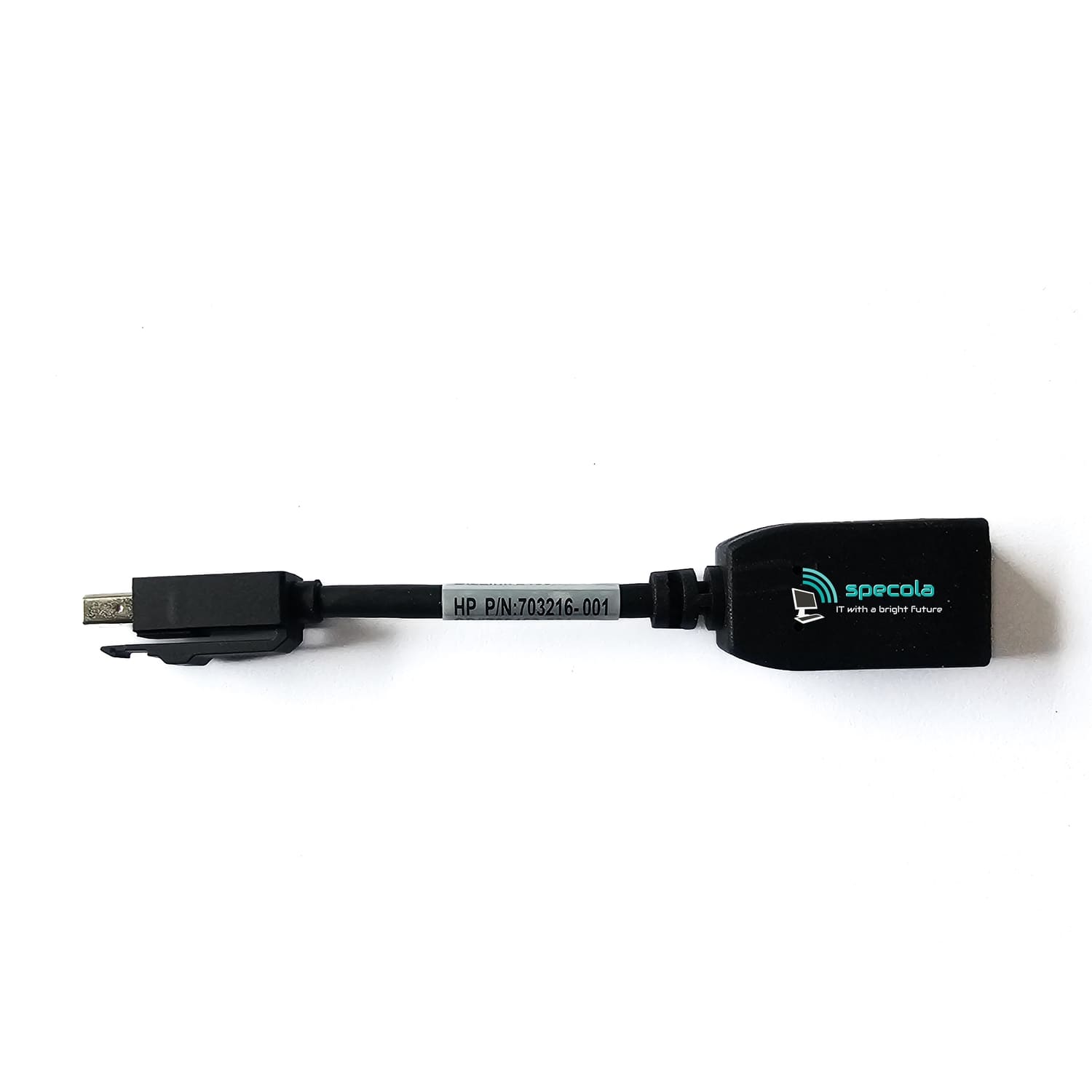 Mini-DisplayPort to DisplayPort Adapter Cable – Specola